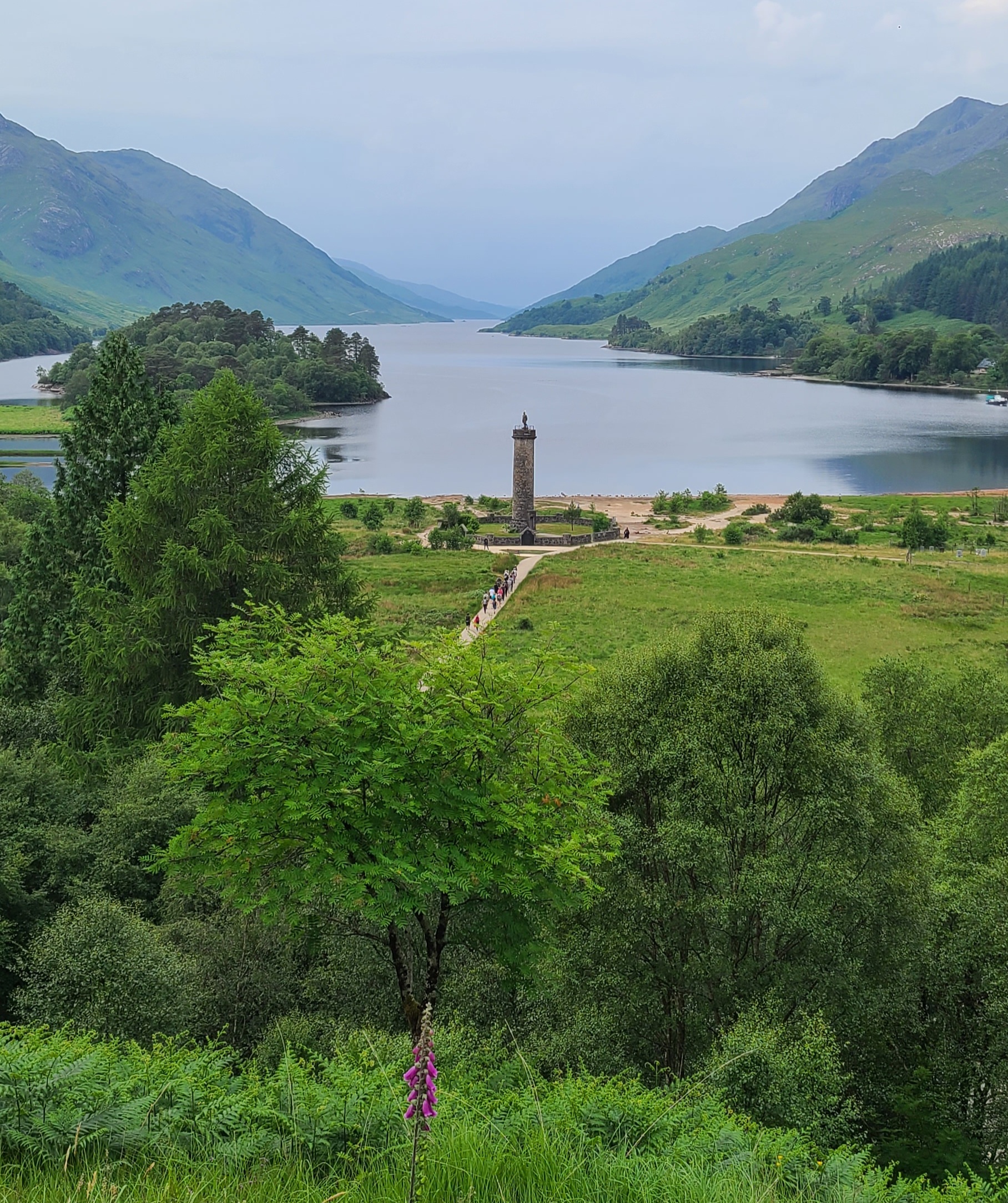 #18 - Novel Update - Scotland - Author Lisa Traugott | Historical Fiction