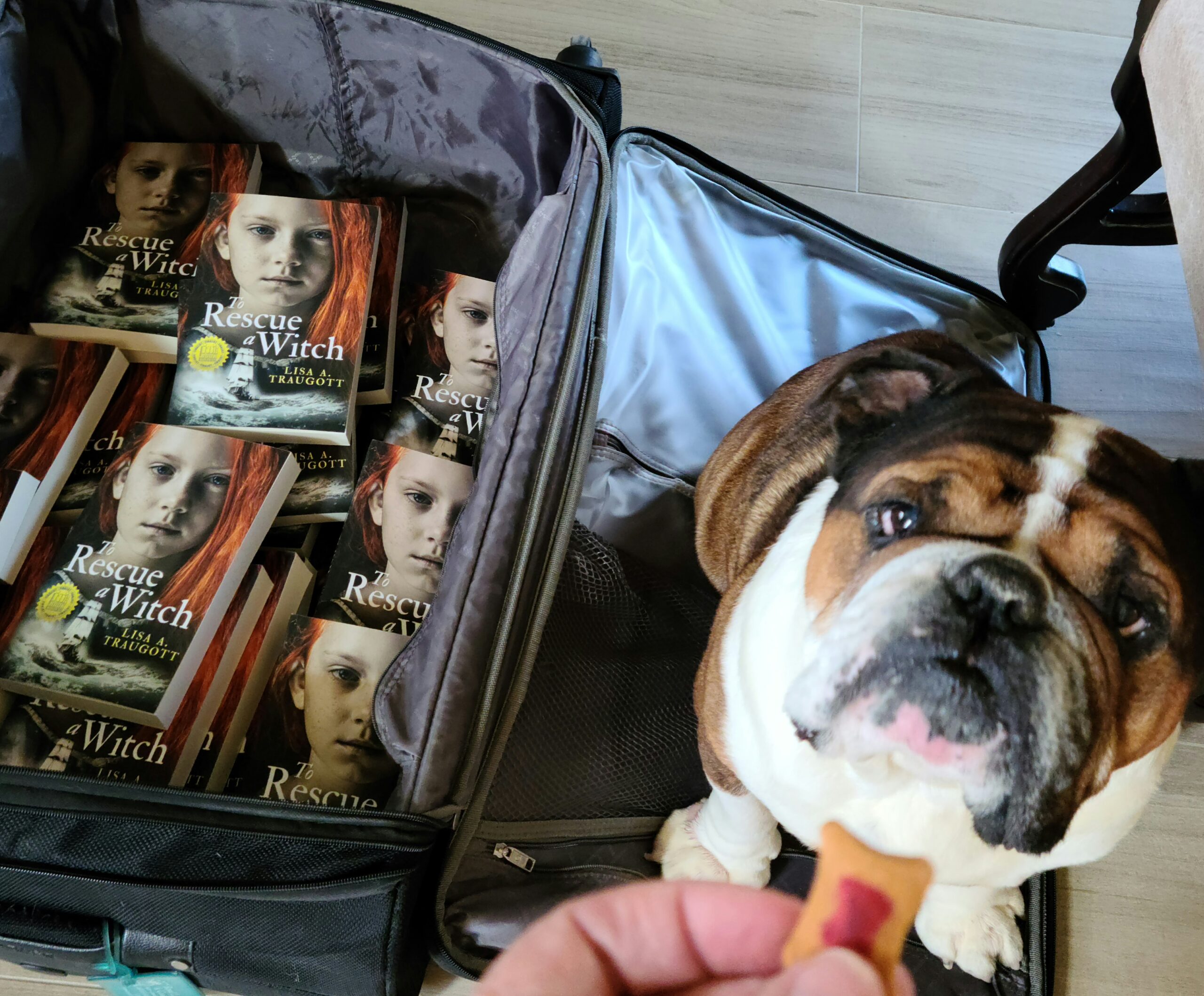 Book Signing Events and Workshops - Author Lisa Traugott | Historical ...